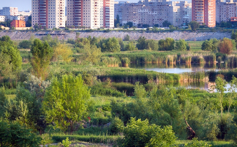 VIDEO Pericolul ascuns din Delta Vacaresti: o noua specie de tantari ...