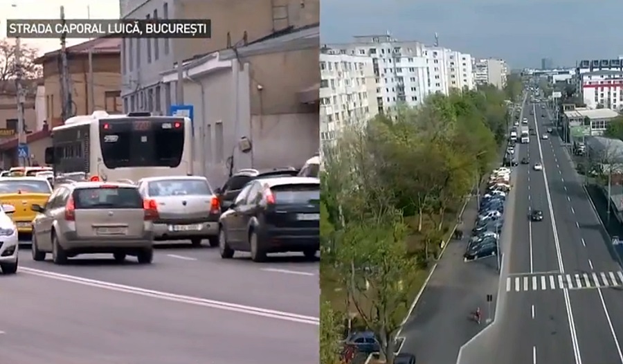 Primaria Sectorului 4 incepe campania de plantare a mii arbori pe Luica ...